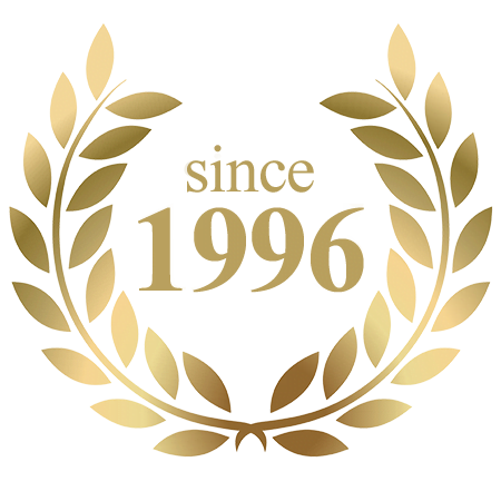 Rochester's Leading Digital & Marketing Agency - Media Connection